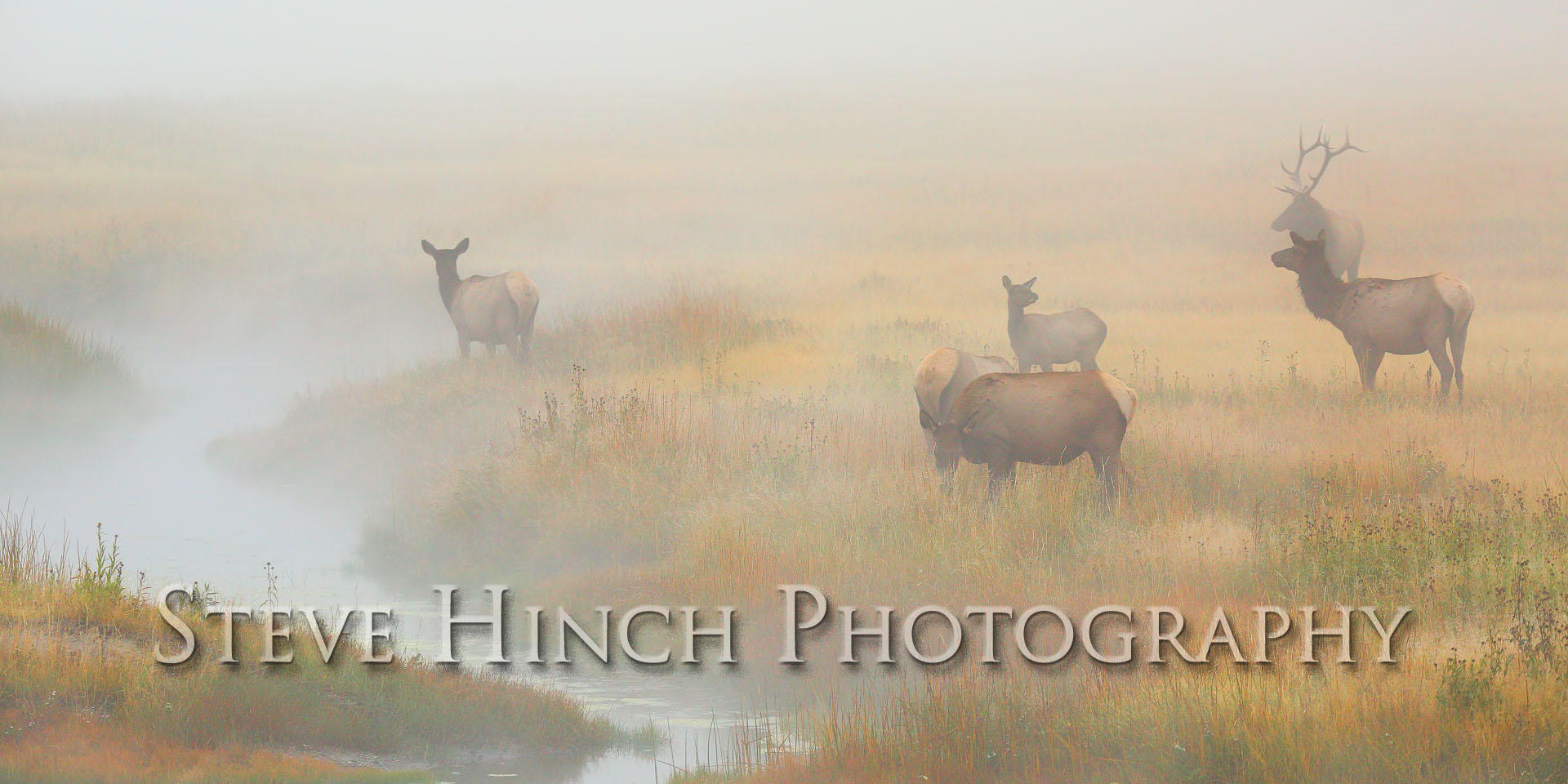 Steve Hinch Photography